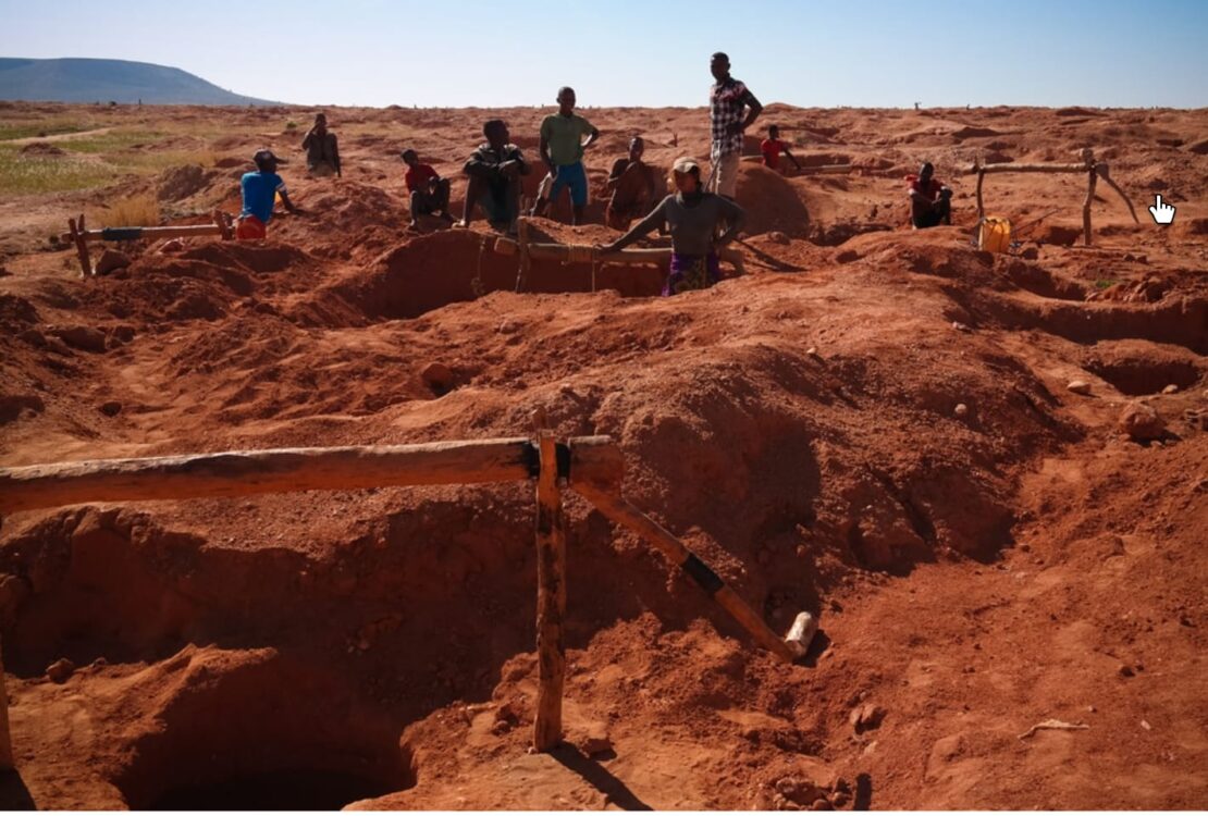 Orchard Management – Orchard Management